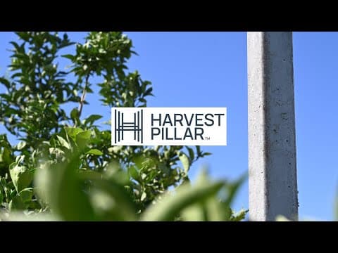 Harvest Pillar Prestressed Concrete Trellis Post 4"x4" | Jensen Precast