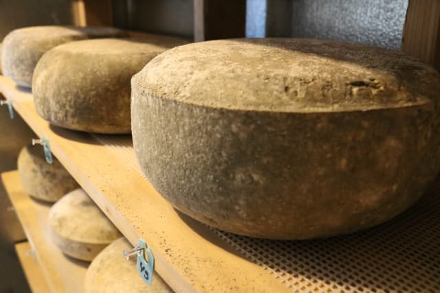 Cheese Artisans Choose Precast Concrete Segmental Box Culvert | Jensen ...