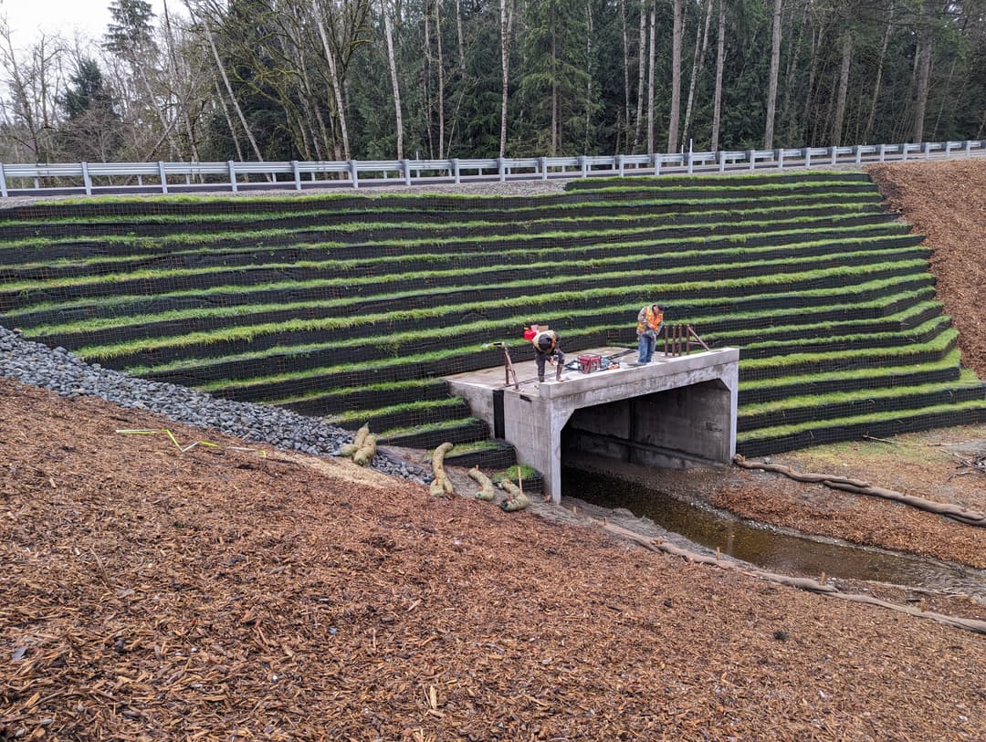 Project of the Year: Massive Shine Creek Culvert Fish Passage | Jensen ...