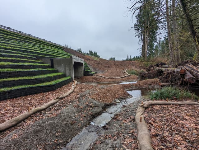 Project of the Year: Massive Shine Creek Culvert Fish Passage | Jensen ...
