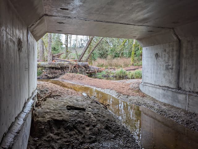 Project of the Year: Massive Shine Creek Culvert Fish Passage | Jensen ...