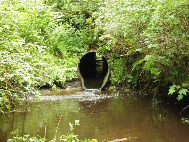 Project of the Year: Massive Shine Creek Culvert Fish Passage | Jensen ...