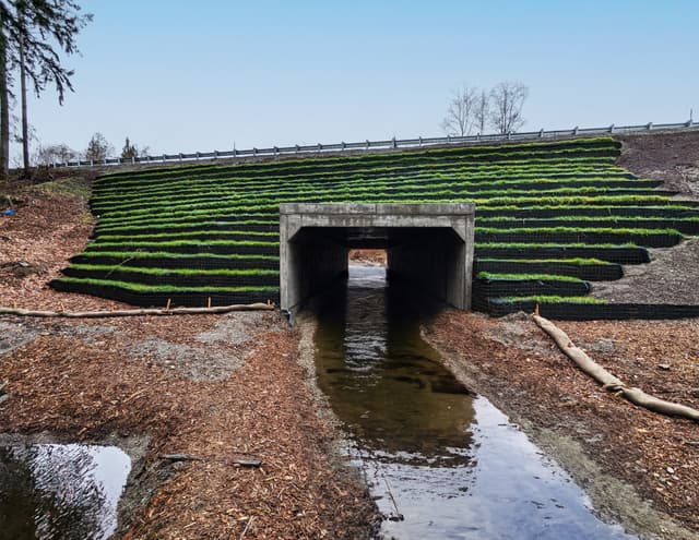 Project of the Year: Massive Shine Creek Culvert Fish Passage | Jensen ...